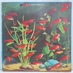 White Noise 2 / Concerto For Synthesizer V2032 :通販 ジャズ White Noise 2 / Concerto For Synthesizer V2032 :通販 ジャズ